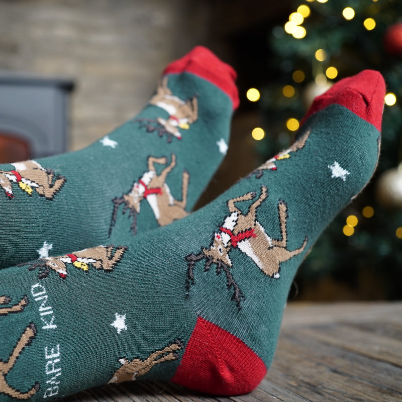 Reindeer: Santa’s Famous Helpers Who Do More Than Sleigh – Bare Kind